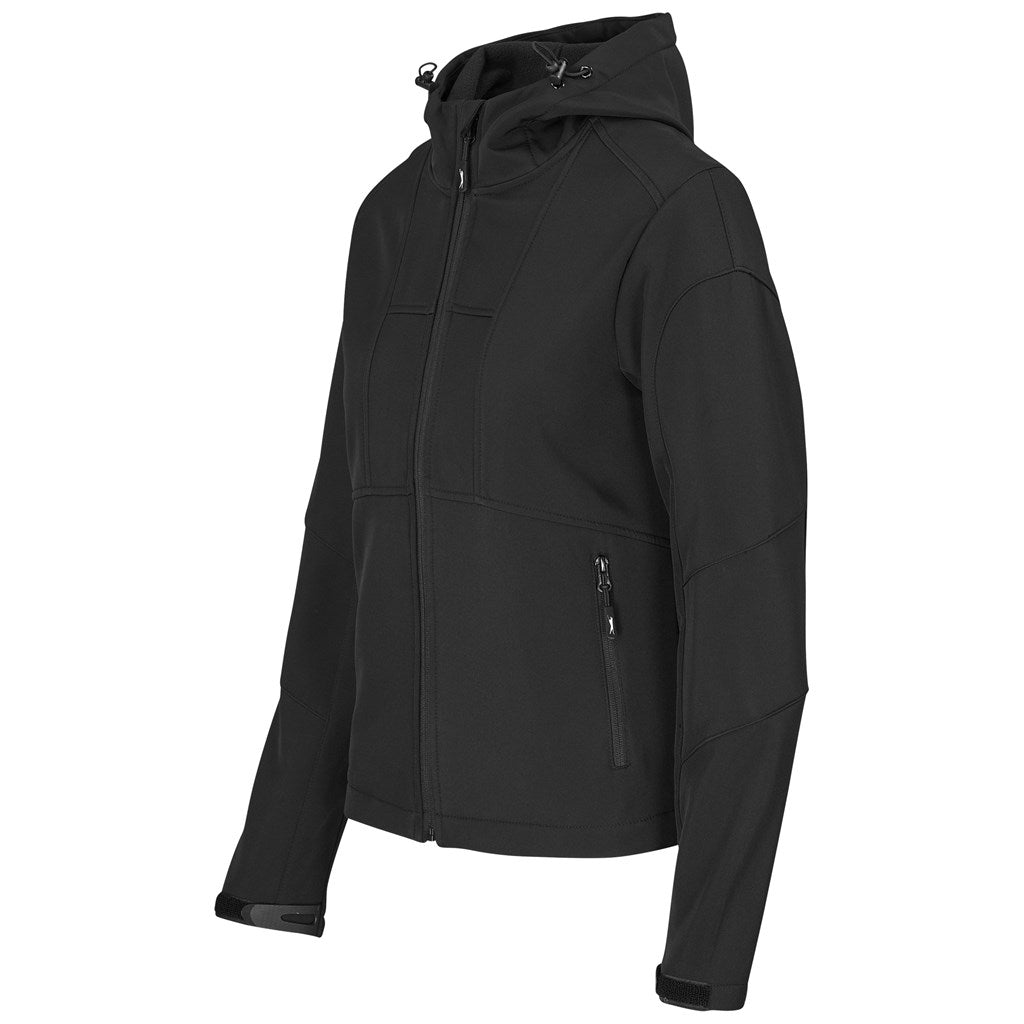 Ladies Nexus Softshell Jacket|usbandmore – USB & MORE