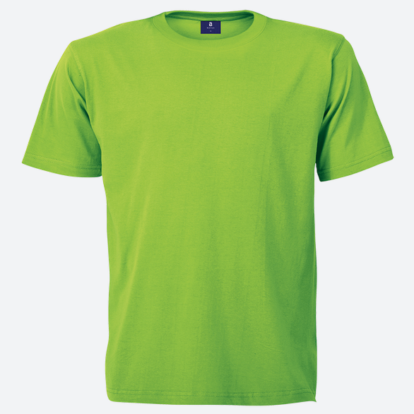145g Barron Crew Neck T-Shirt (More Colours)|usbandmore – USB & MORE